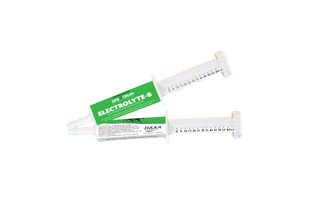 ELECTROLYTE B PASTE 60ML – Racing Supplies