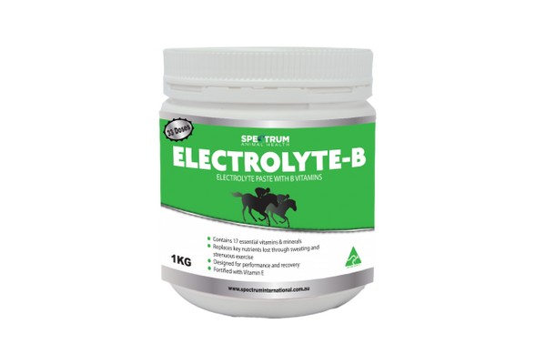 ELECTROLYTE B PASTE 1LT – Racing Supplies